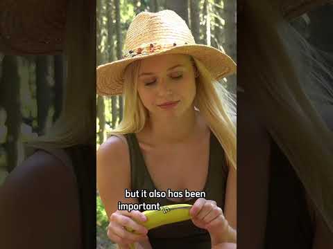 The word "BANANA" 🍌