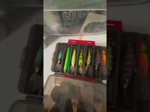 What’s In My Tackle Box?🤔#tacklebox #fishing