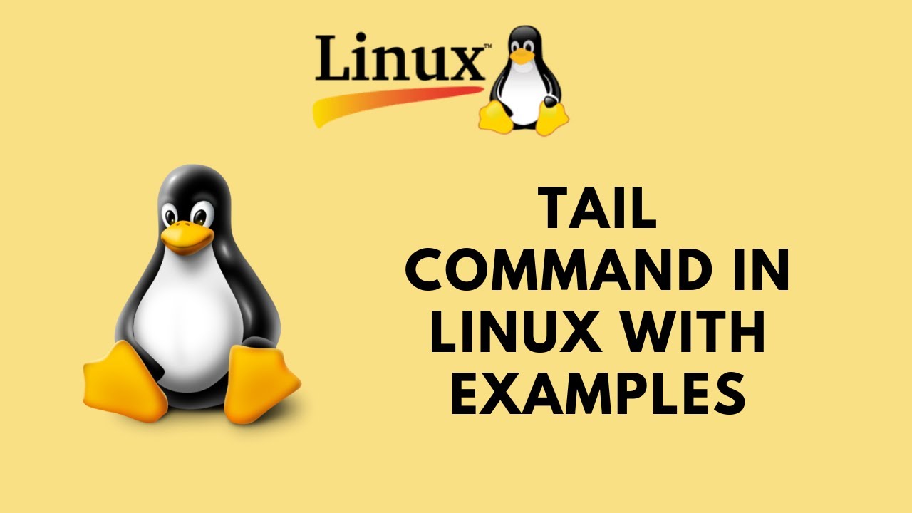 Linux Command Line Basics Tutorials - Tail command in Linux with examples