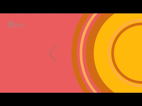 KCET/Life & Thyme/Participant/NETA Program Service (2022)
