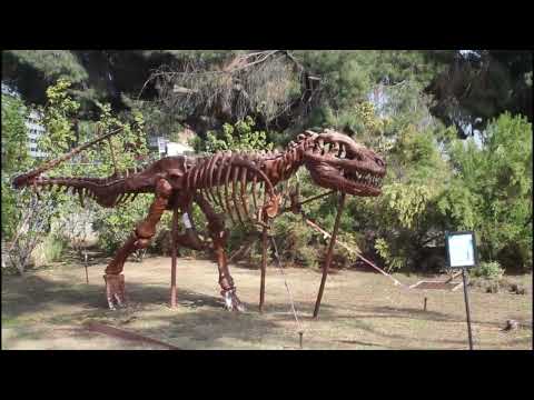Discovery Cube Museum Complete Tour | Slymar Cube Museum Tour |