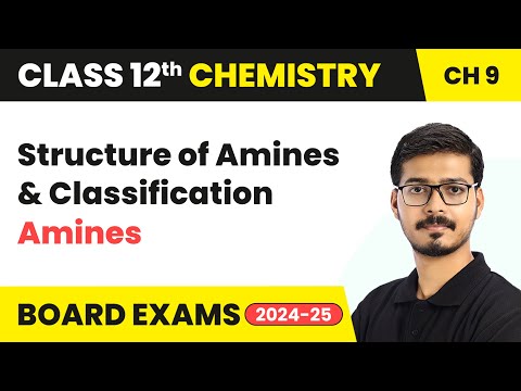 Amines - Structure of Amines & Classification | Class 12 Chemistry Chapter 9 | CBSE 2024-25