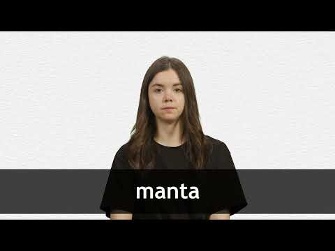 English Translation of “MANTA” | Collins Spanish-English Dictionary
