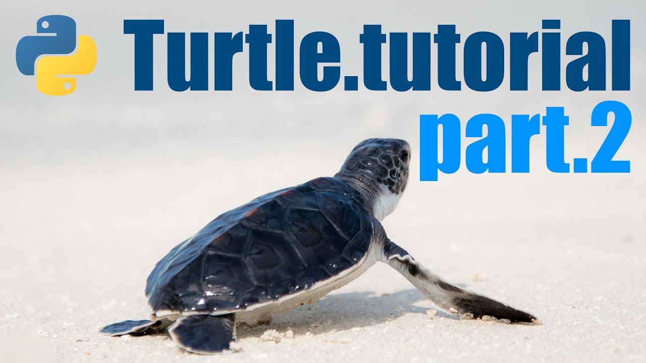 Python Turtle Tutorial - Lesson 2 - Colours and styles