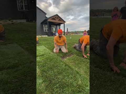 Tips and tricks for laying down sod / DIY Sod Installation