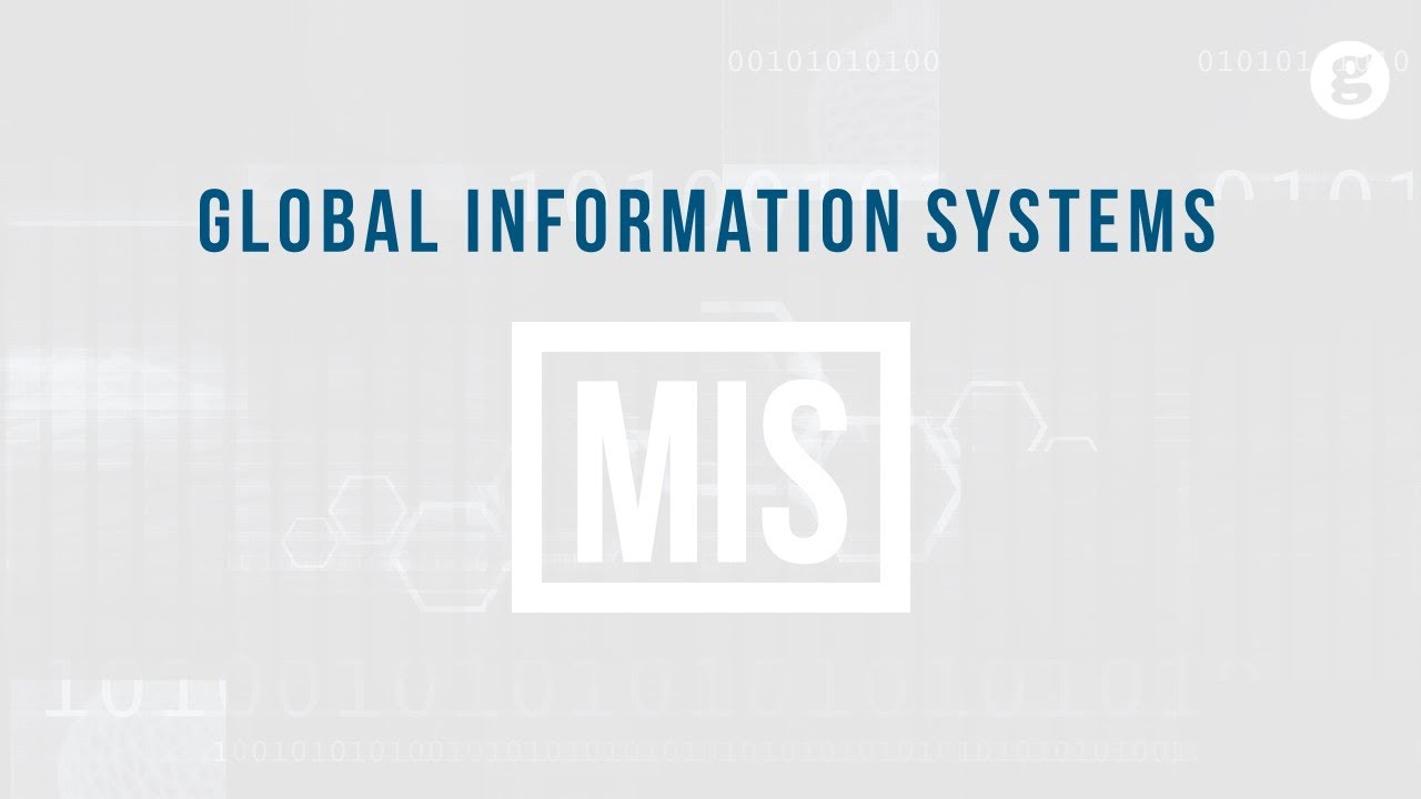 Understanding Global Information Systems
