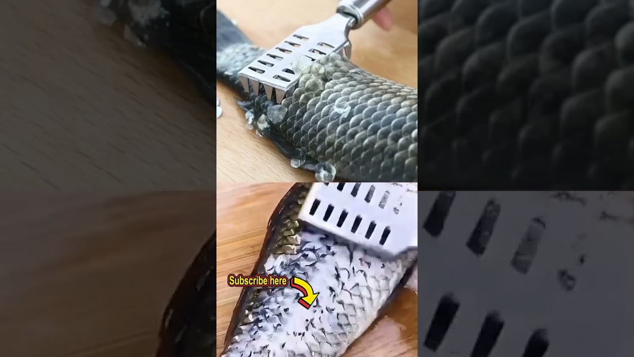 DIY Crafts Source how to use it easy to use at home #DIY #VIRAL #Subscribe  #Shorts 260