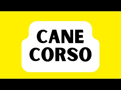 How to Pronounce Cane Corso (Correctly)