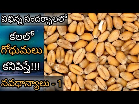 కలలో గోధుమలు కనిపిస్తే || Kalalo Godumalu Kanipisthe || Wheat in Dream Meaning & Analysis