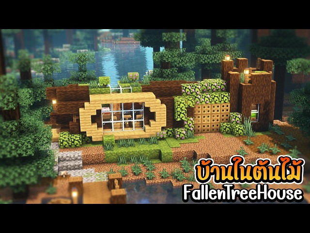🌲 สร้างบ้านในต้นไม้ที่ล้ม!! | How To Build Fallen Tree House Minecraft ...