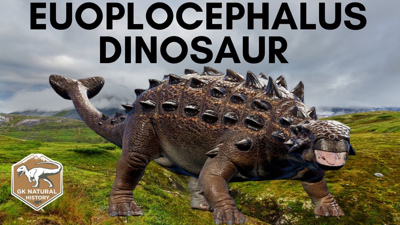 Euoplocephalus Dinosaurs