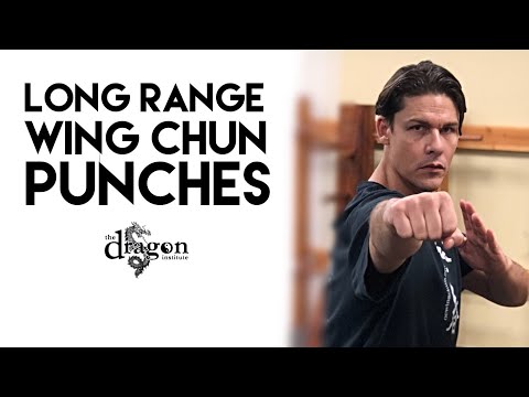 Long Range Wing Chun Punches - By Adam Williss