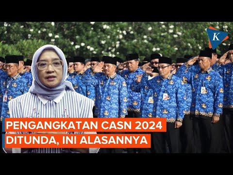 Menpan RB Ungkap Alasan Pengangkatan CASN 2024 Ditunda