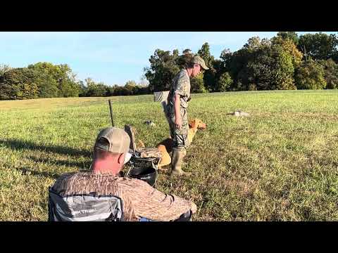 G - InDucky HRC Fall ‘23 Seasoned Land Test (Wingate Kennels)