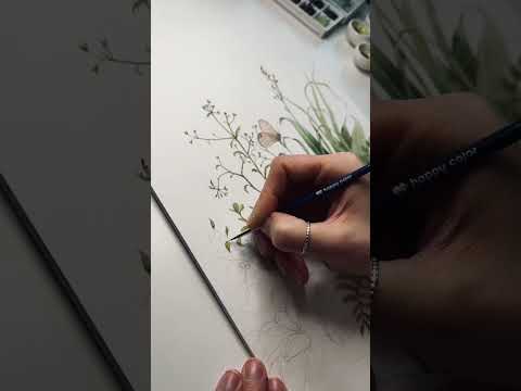 #shorts #watercolor #botanical #illustration #drawing #wildflowers #images #flower #painting