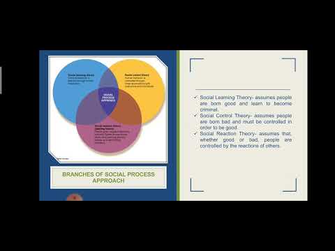 Social Learning Theory || Sociological Causes of Crime