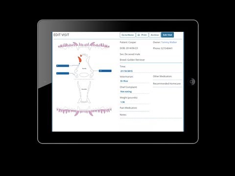 Veterinary Dental Chart Demo