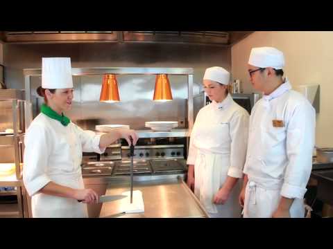Why Choose Shannon College of Hotel Management?