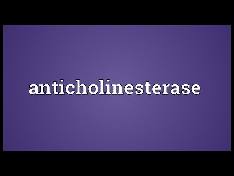 Anticholinesterase Meaning