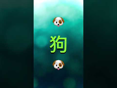 How To Say Dog In Cantonese 狗