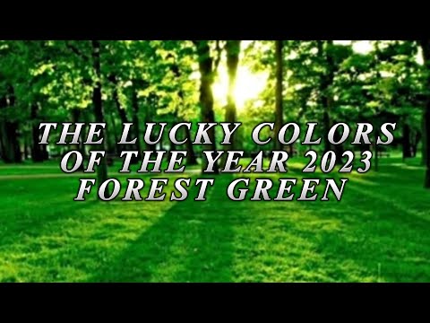 THE MEANING OF THE LUCKY COLORS OF THE YEAR 2023 | FOREST GREEN