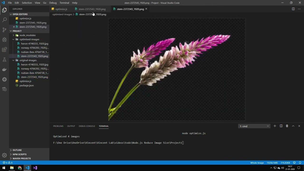 Optimize Image Size With JavaScript in Node js