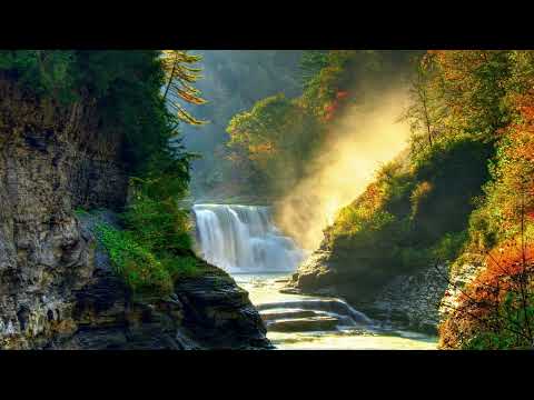 Autumn River Flowing Through Fall Foliage River Sounds Sleep Study Relax Anxiety Relief 30MIN