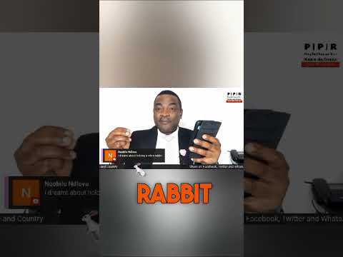 What Does a White Rabbit Dream Mean? #whiterabbit #dreaminterpretation #Dreams #angelteachings