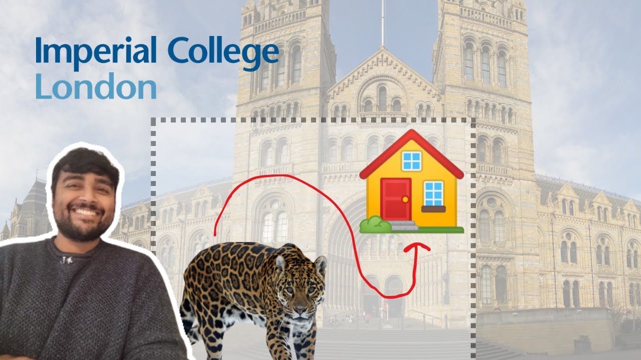 Can the Jaguar get back home? ICMC