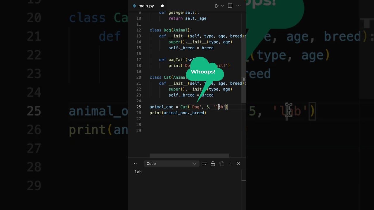 Python Programming: How to Create and Use Child Classes in Python
