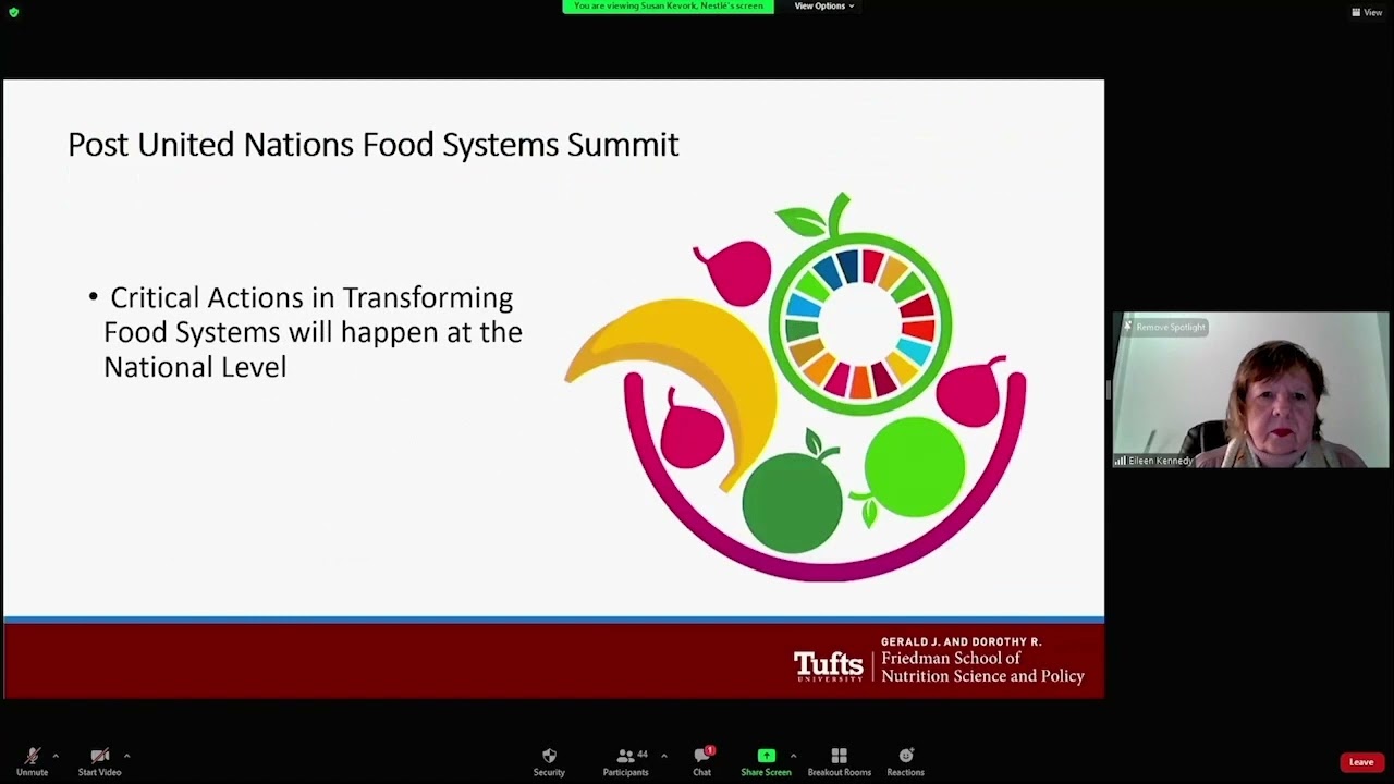 Transforming food systems towards healthier and affordable diets produced in a sustainable way