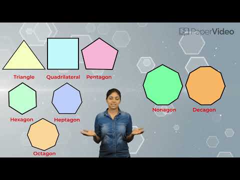Convex and Concave Polygon