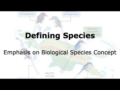 Definition of Species