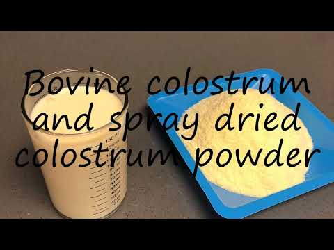 How to pronounce Bovine colostrum and spray dried colostrum powder in English?