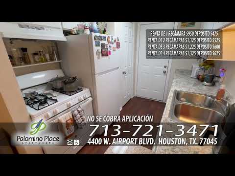 313935 Palomino Place Apts – 2025