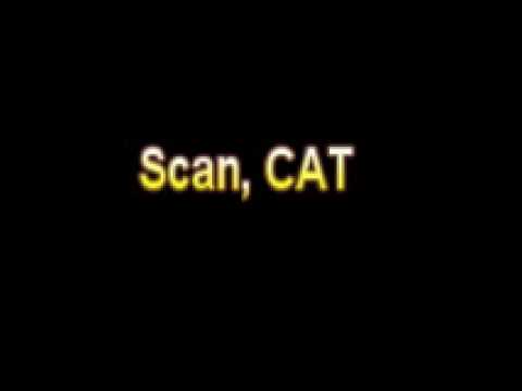 What Is The Definition Of Scan, CAT Medical School Terminology Dictionary