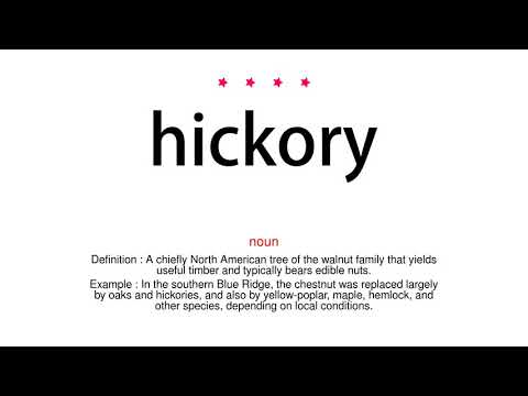 How to pronounce hickory - Vocab Today
