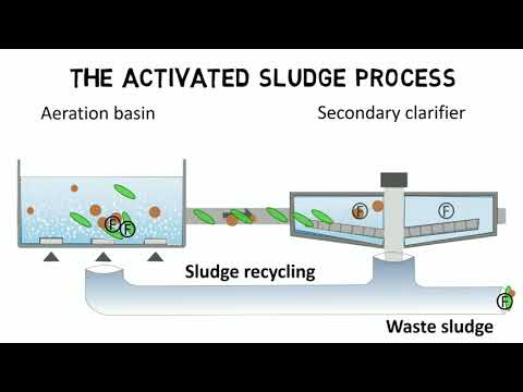 Activated sludge process and IFAS - Design rules + guideline
