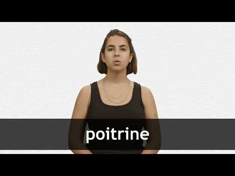 English Translation of “POITRINE” | Collins French-English Dictionary