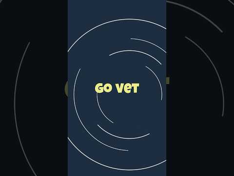 Boost Your Golang Code Quality with Go Vet Command