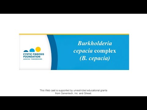 CF Foundation | Burkholderia cepacia complex (B. cepacia)