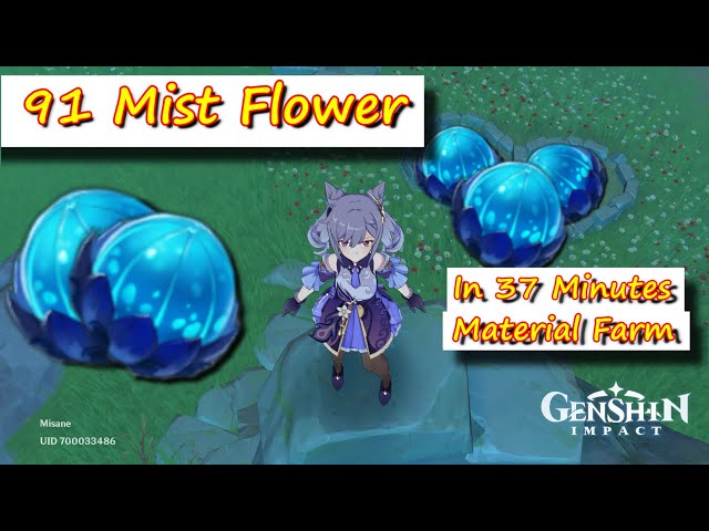 Mist Flower locations in Genshin Impact