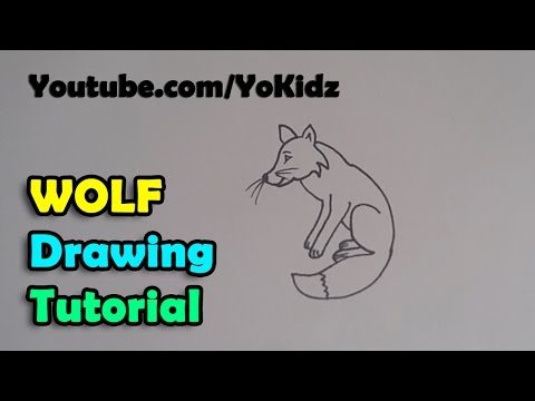 How To Draw A Wolf For Kids Step By Step