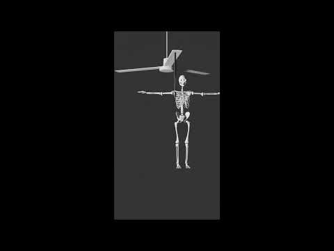 Steam Community :: Video :: (LOUD) skeleton fly but its animated on Blender