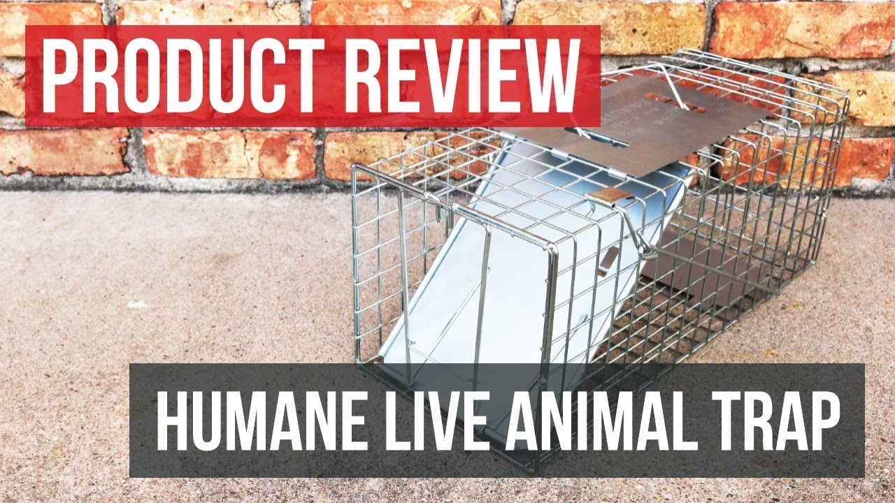 Live Animal Traps | Professional DIY Pest Control Equipment