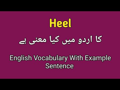 Heel meaning in English to Urdu | heel meaning with example sentence