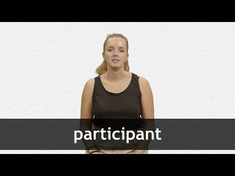 English Translation of “PARTICIPANT” | Collins French-English Dictionary