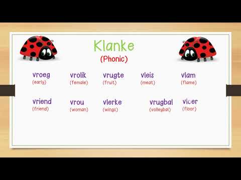Grade 3 Term 3 Week 2 Afrikaans Lesson Monday