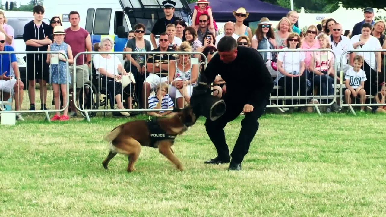 Cheshire County Show 2014