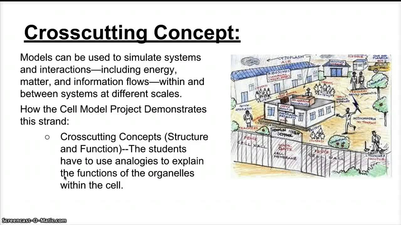 7th Grade NGSS Breakdown